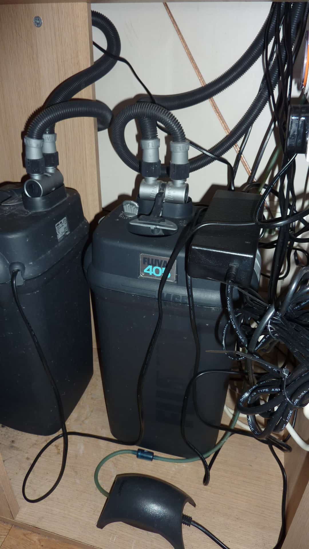 How To Set Up A Tropheus Breeding Tank - Tropical Fish Site