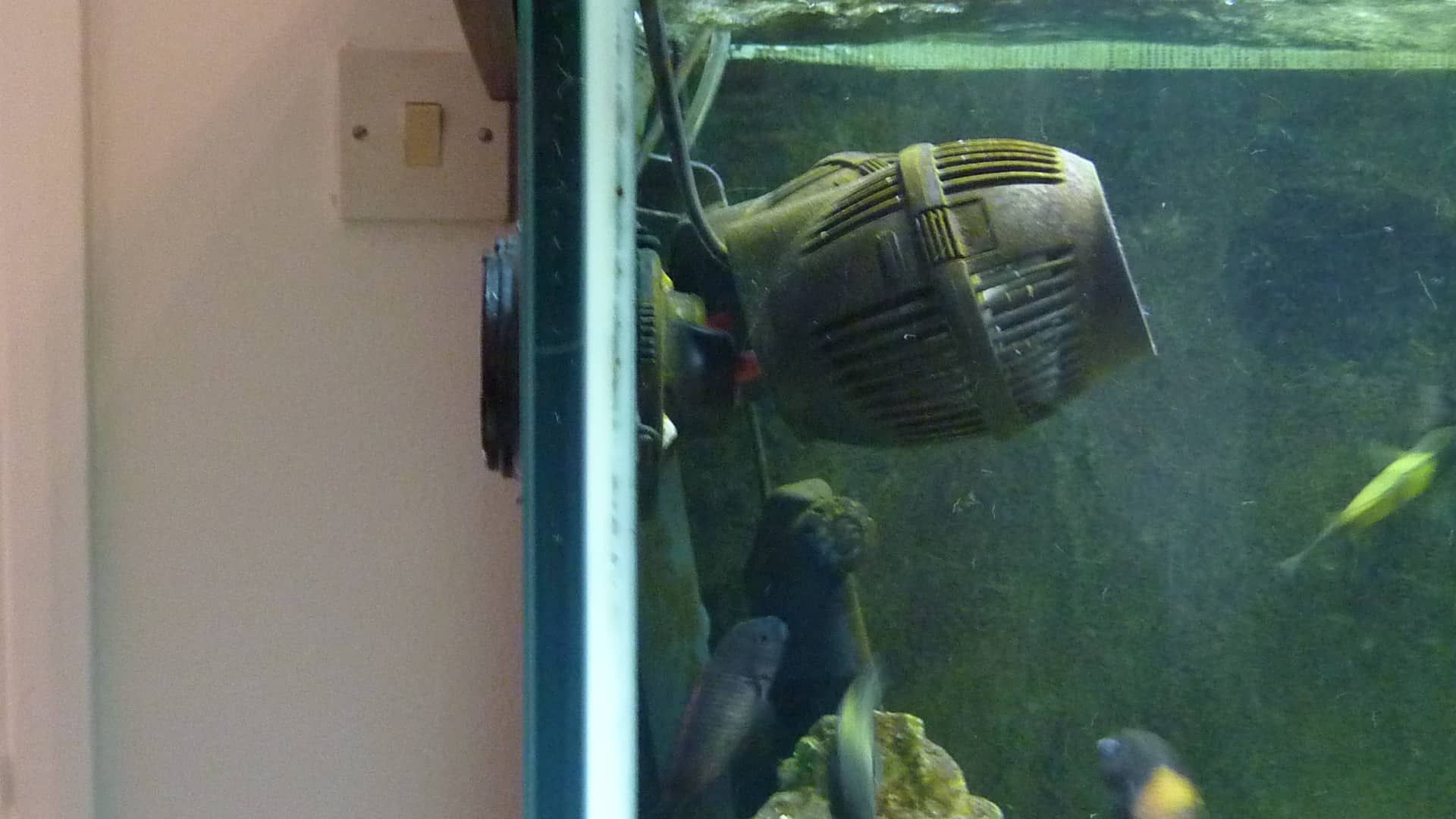 Hydor Koralia Evolution Circulation Wave Pump Powerhead Review ...