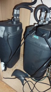 240 Litre Malawi Aquarium - Tropical Fish Site