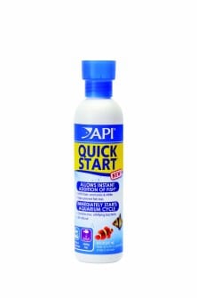 API Quick Start Review - Tropical Fish Site