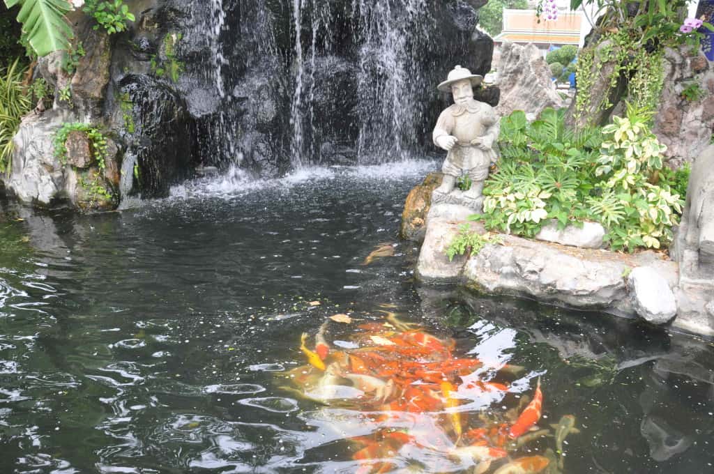 Effective Fish Pond Cleaning Tips for Beginners - Tropical Fish Site