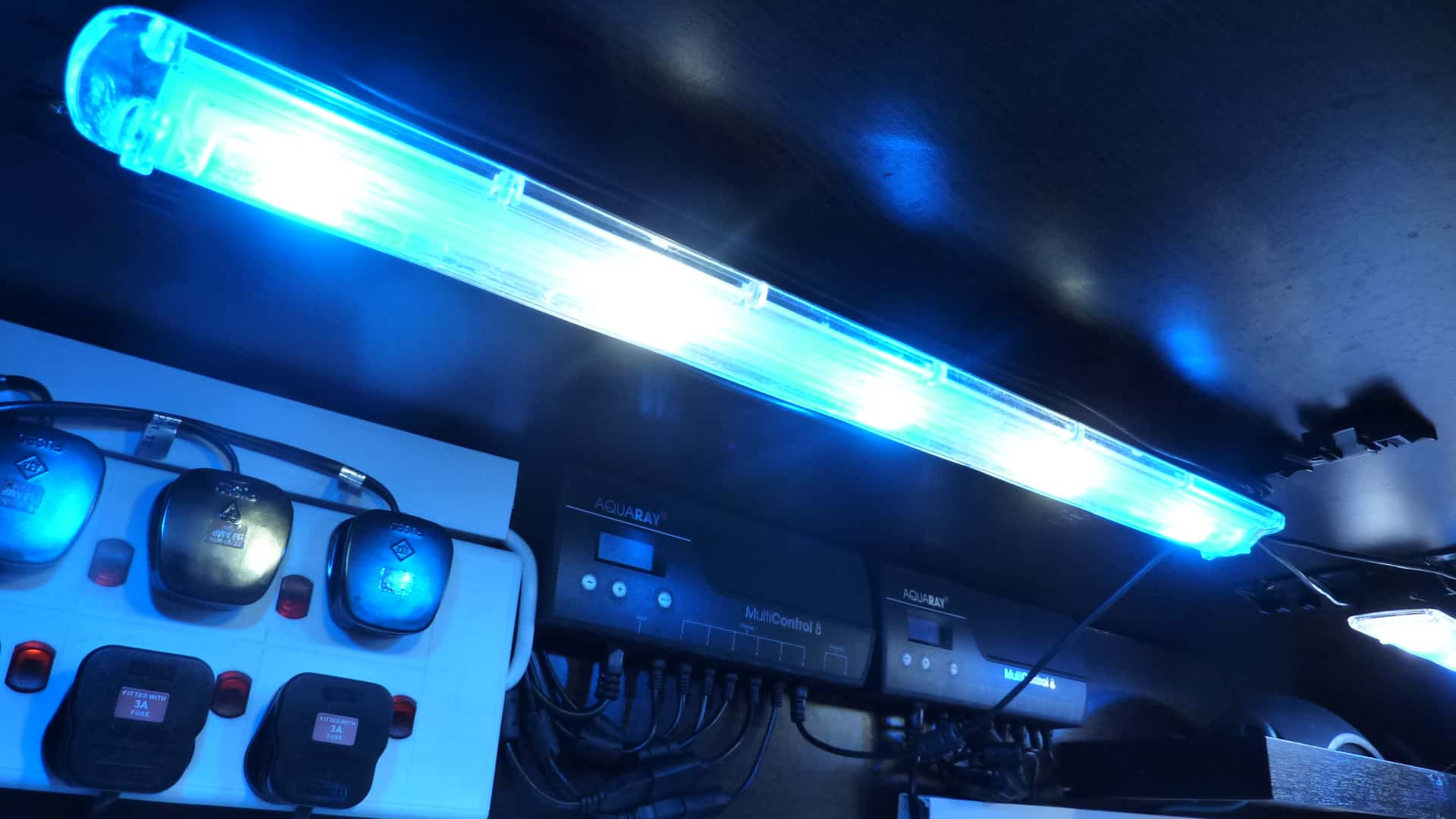 How To Get The Shimmer Effect In A Fish Tank Aquarium - Tropical Fish Site