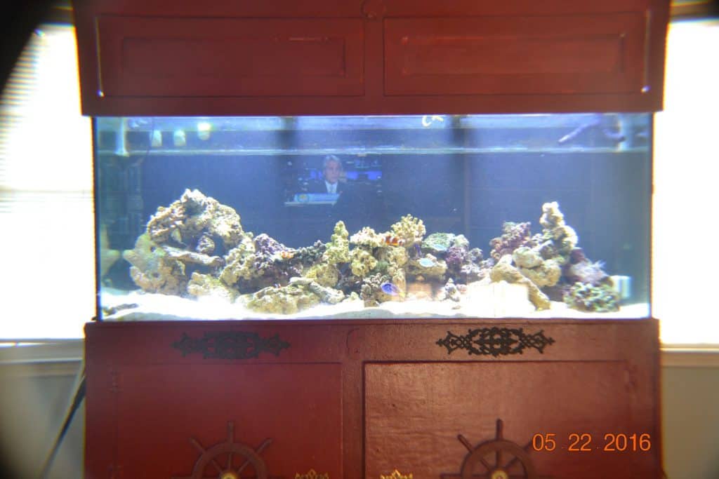 225 Reef Aquarium - Tropical Fish Site