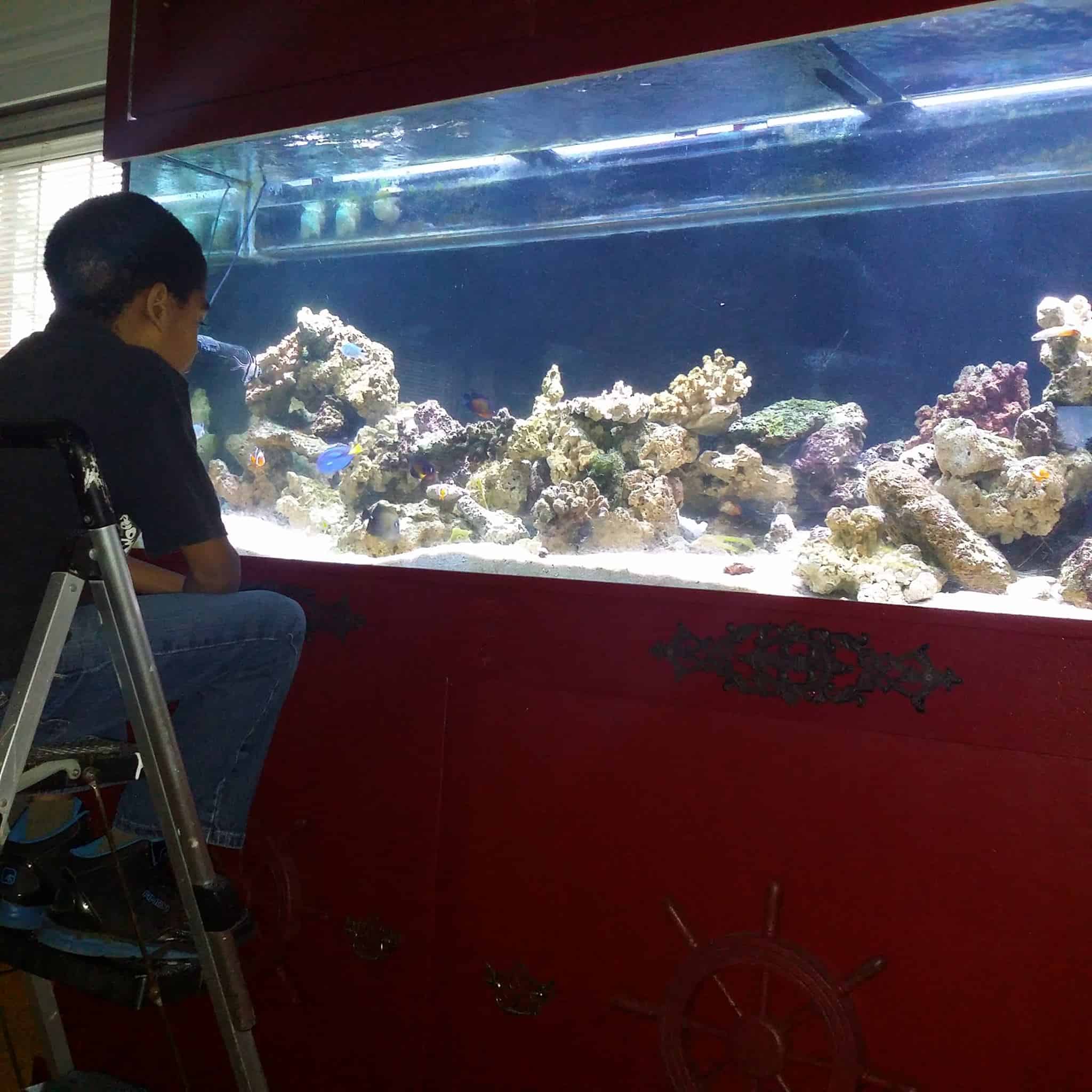 225 Reef Aquarium - Tropical Fish Site