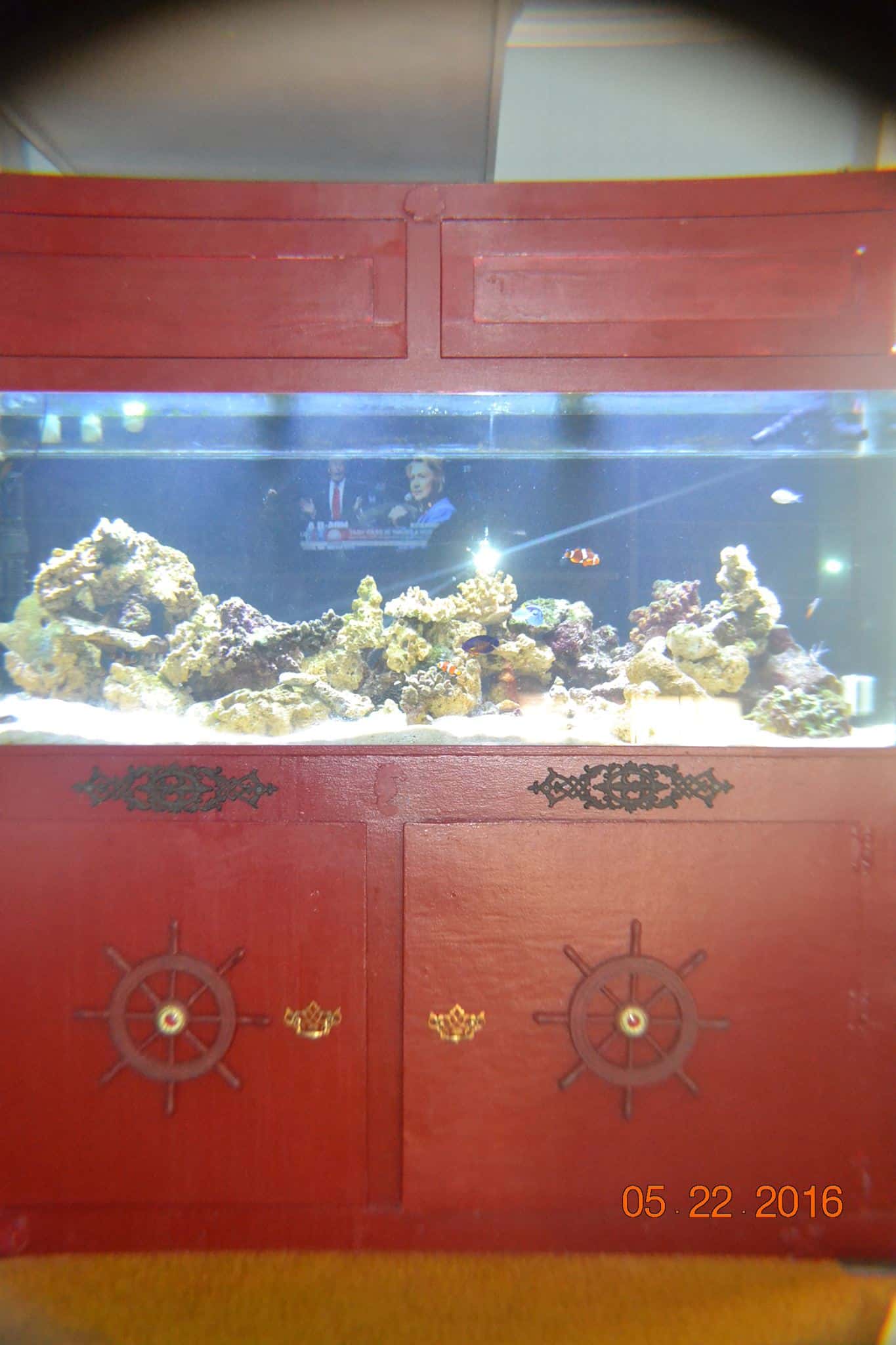 225 Reef Aquarium - Tropical Fish Site